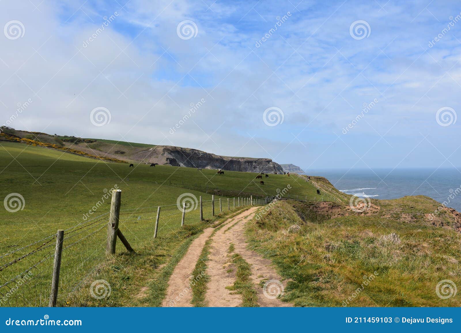 Rural Countryside with a Walking Trail by a Field Stock Image - Image ...