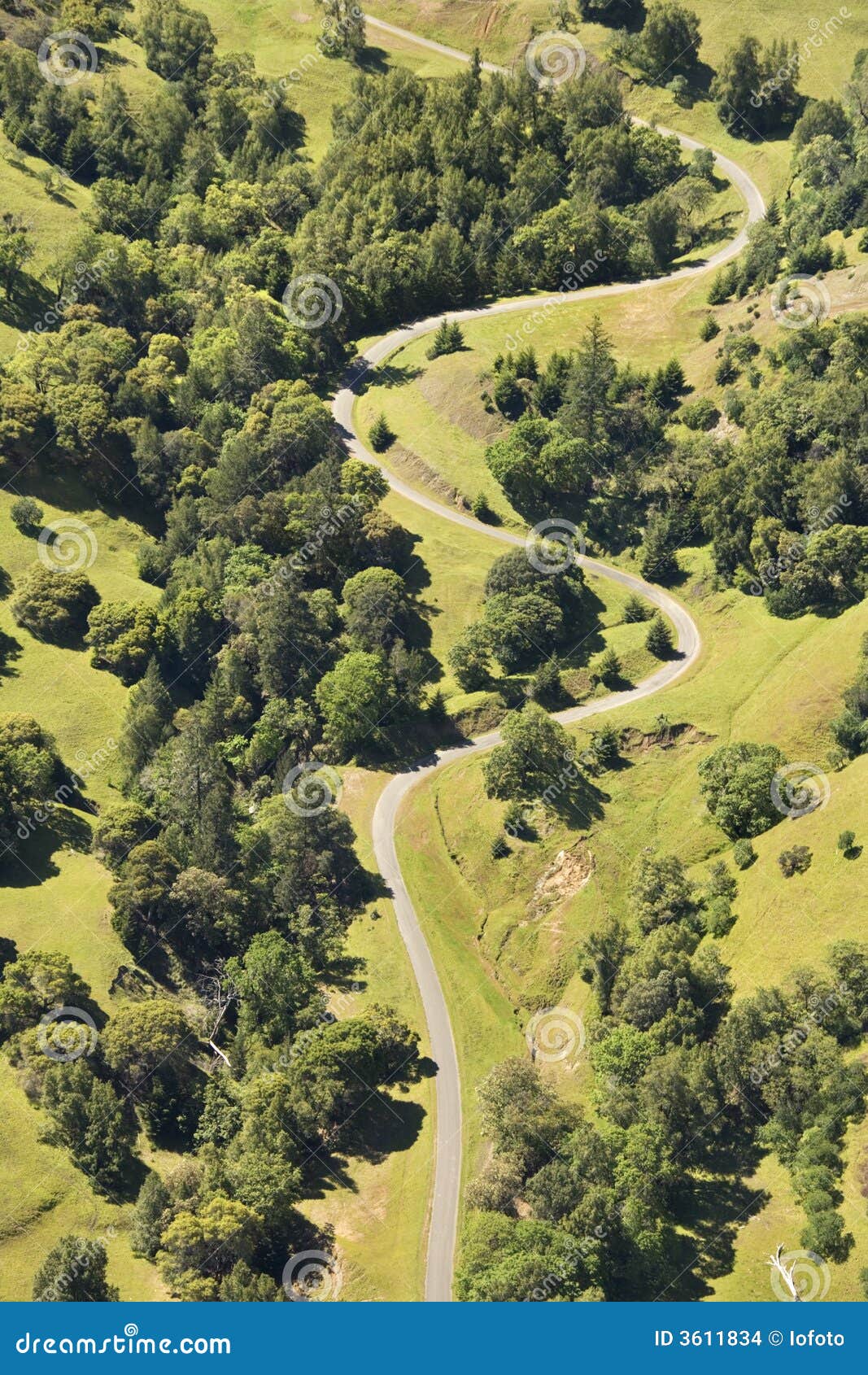 Rural curvy road. stock photo. Image of green, country - 3611834