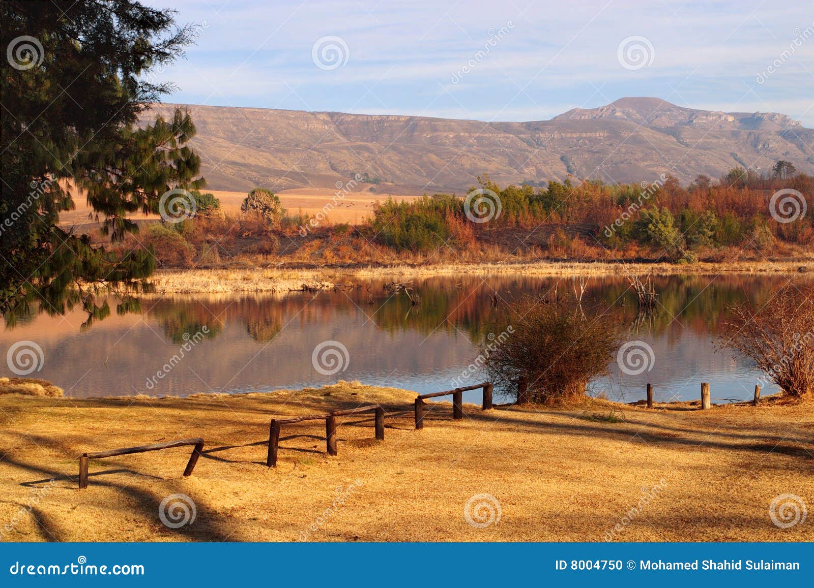 Rural dam stock photo. Image of water, tree, reflection - 8004750
