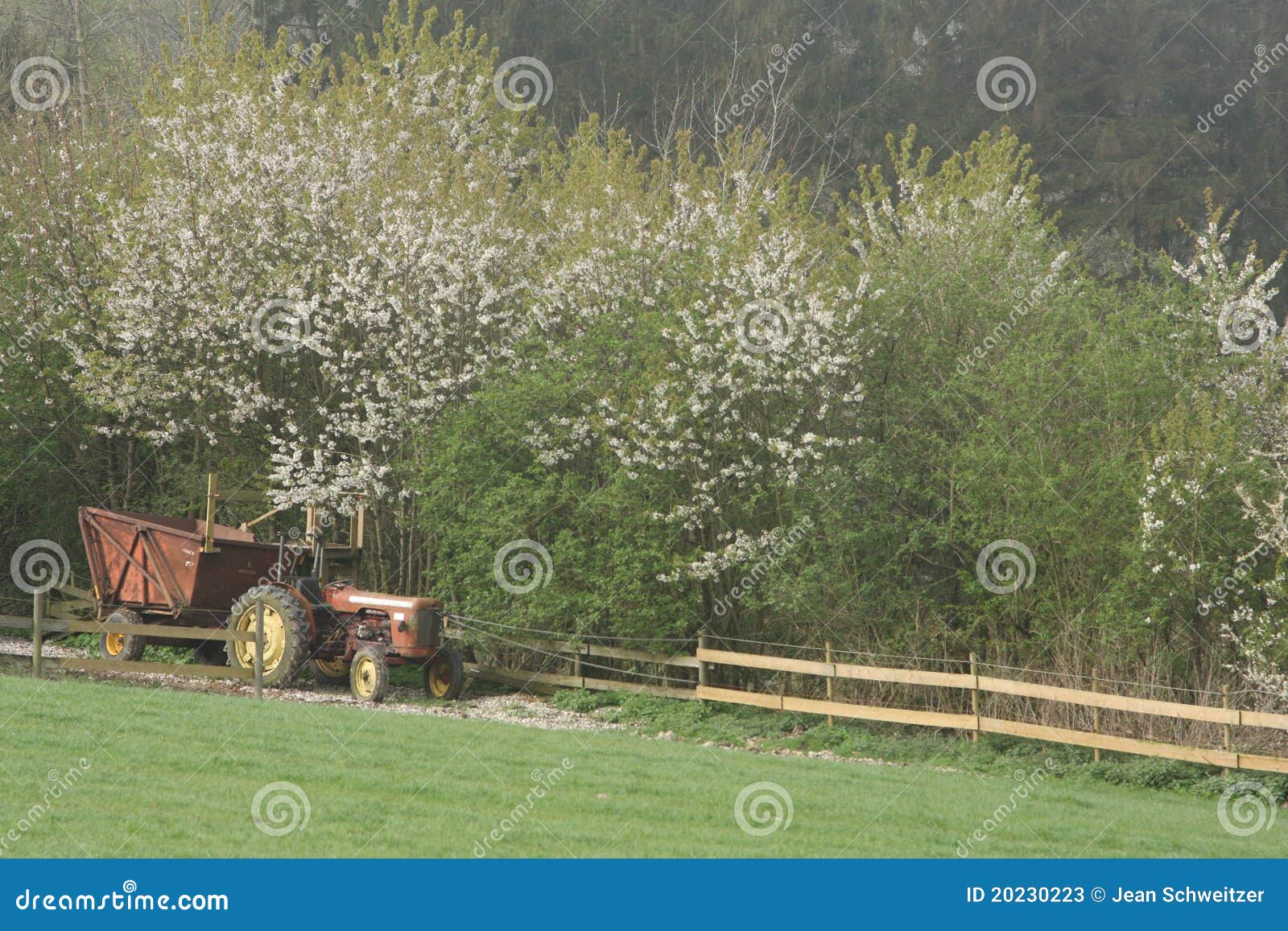 Rural denmark stock image. Image of danish, agricultural - 20230223