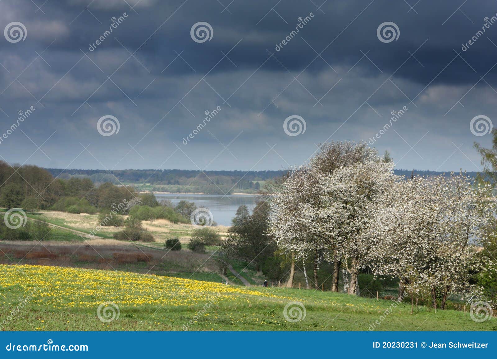 Rural denmark stock image. Image of rural, gardening - 20230231