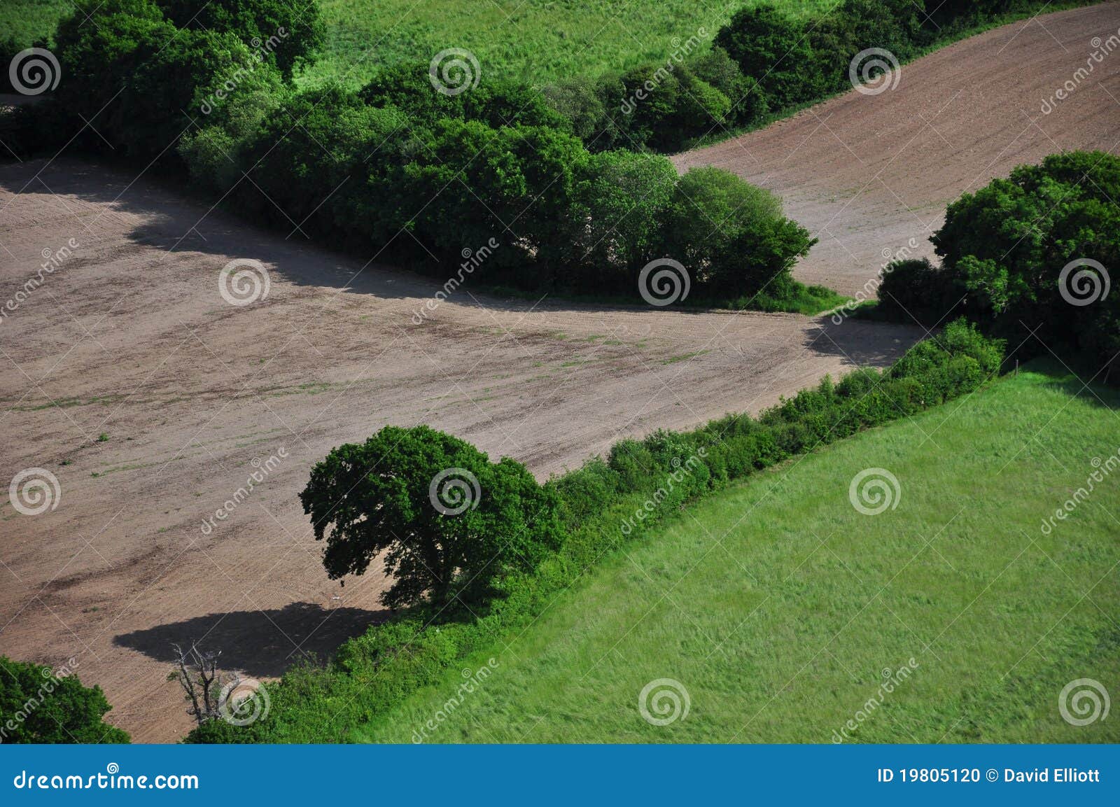 Rural Devon stock photo. Image of meadow, devon, torrington - 19805120