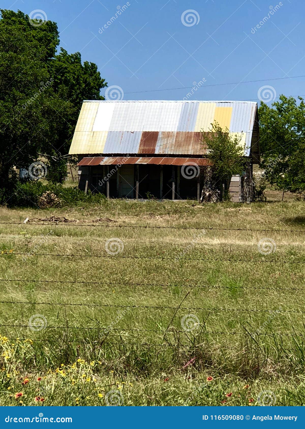Rustic shack Texas stock photo. Image of shack, rural - 116509080