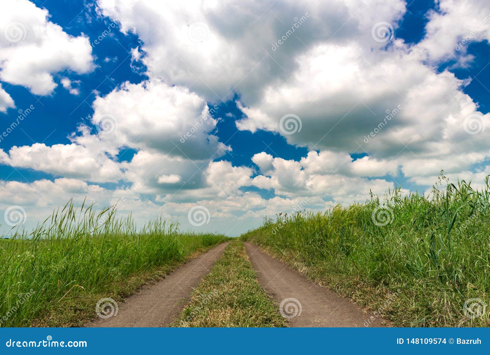 Rural Dirt Road among Farm Fields Stock Photo - Image of growing, green ...