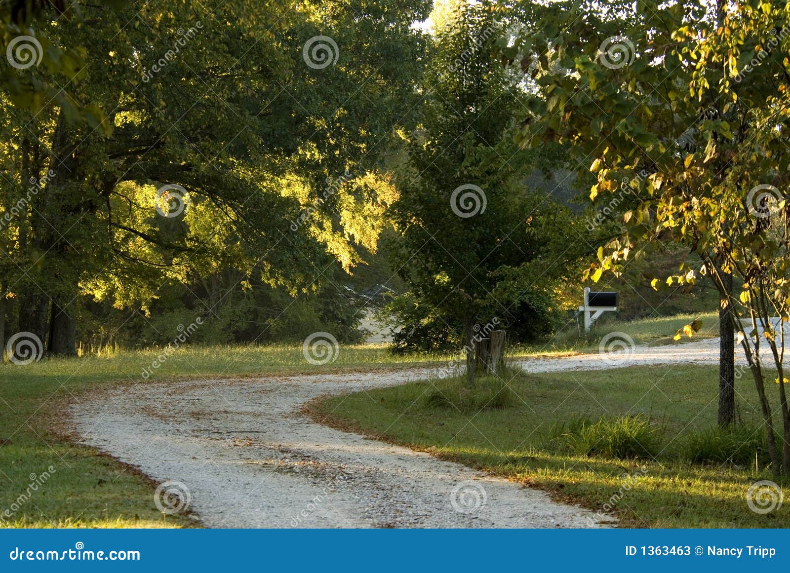 Rural driveway stock image. Image of fall, driveway, mailbox - 1363463