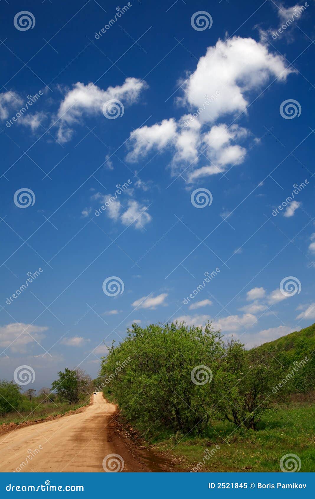 Rural Earth Road Royalty-Free Stock Photo | CartoonDealer.com #2521845
