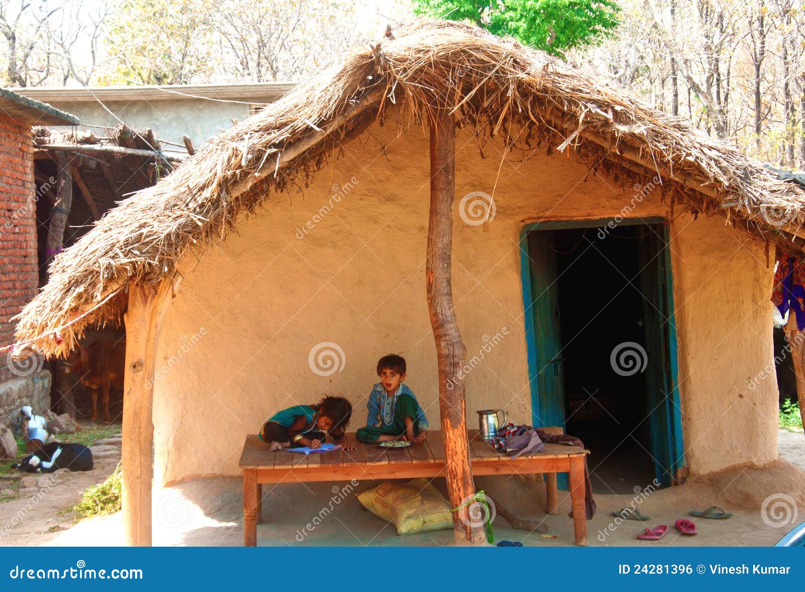 Rural education editorial photo. Image of india, studying - 24281396