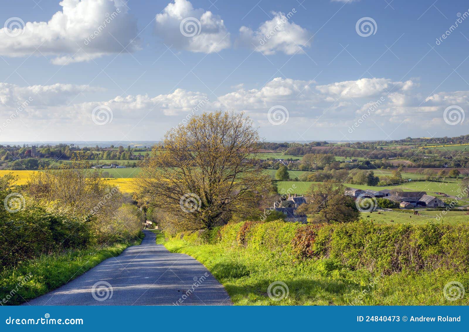 Rural England stock image. Image of cotswolds, farm, livestock - 24840473