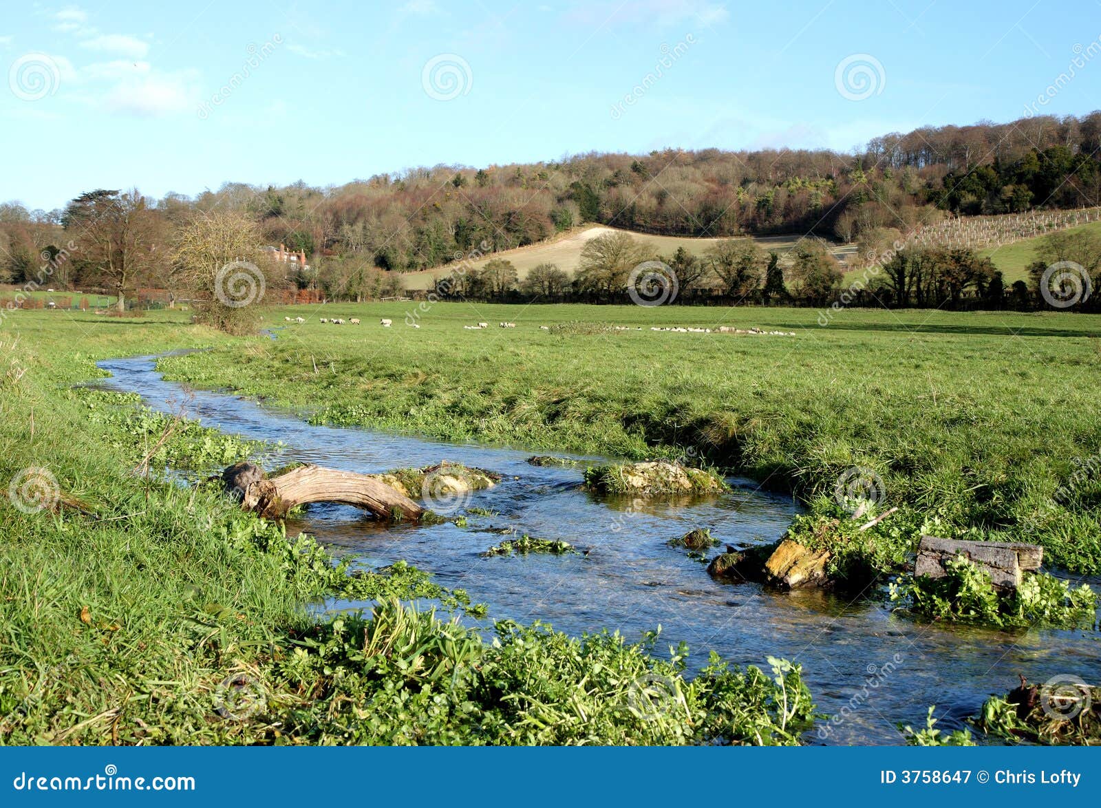 Rural English Landscape stock image. Image of water, meadows - 3758647
