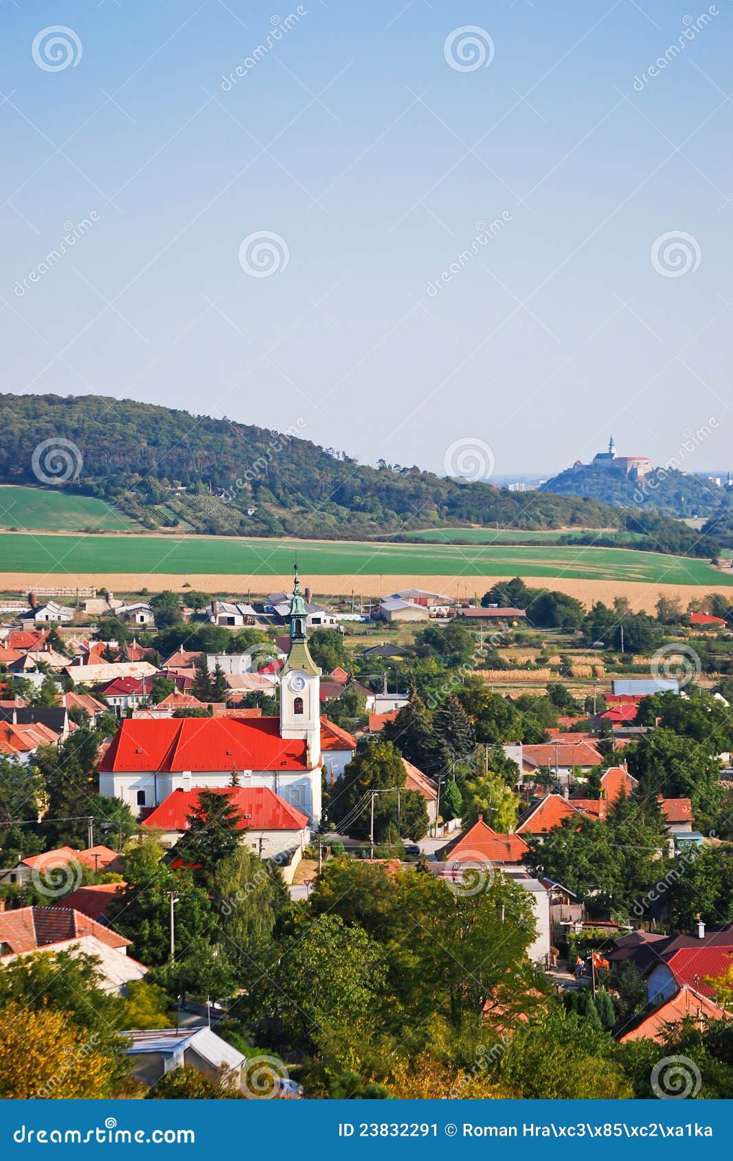 Rural Environment. Contrast Of The Snow Between The Harvested Plant ...