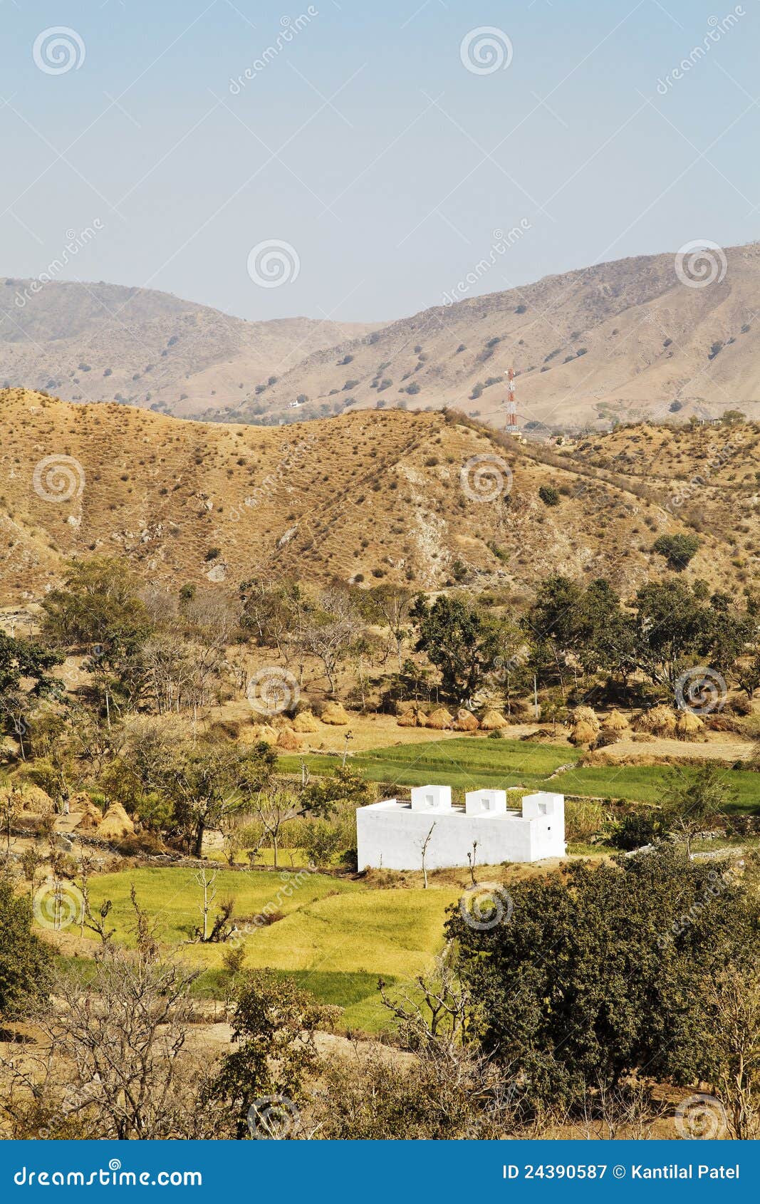 Rural Famland Rajashtan India Stock Image - Image of space, 6607: 24390587