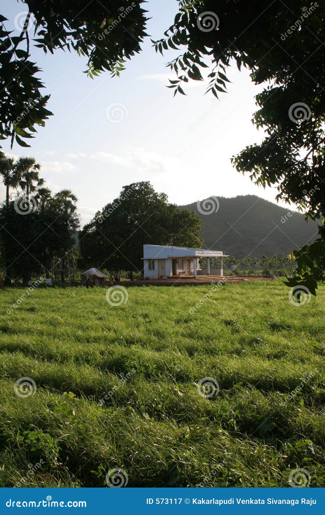 Rural Farm House Picture. Image: 573117