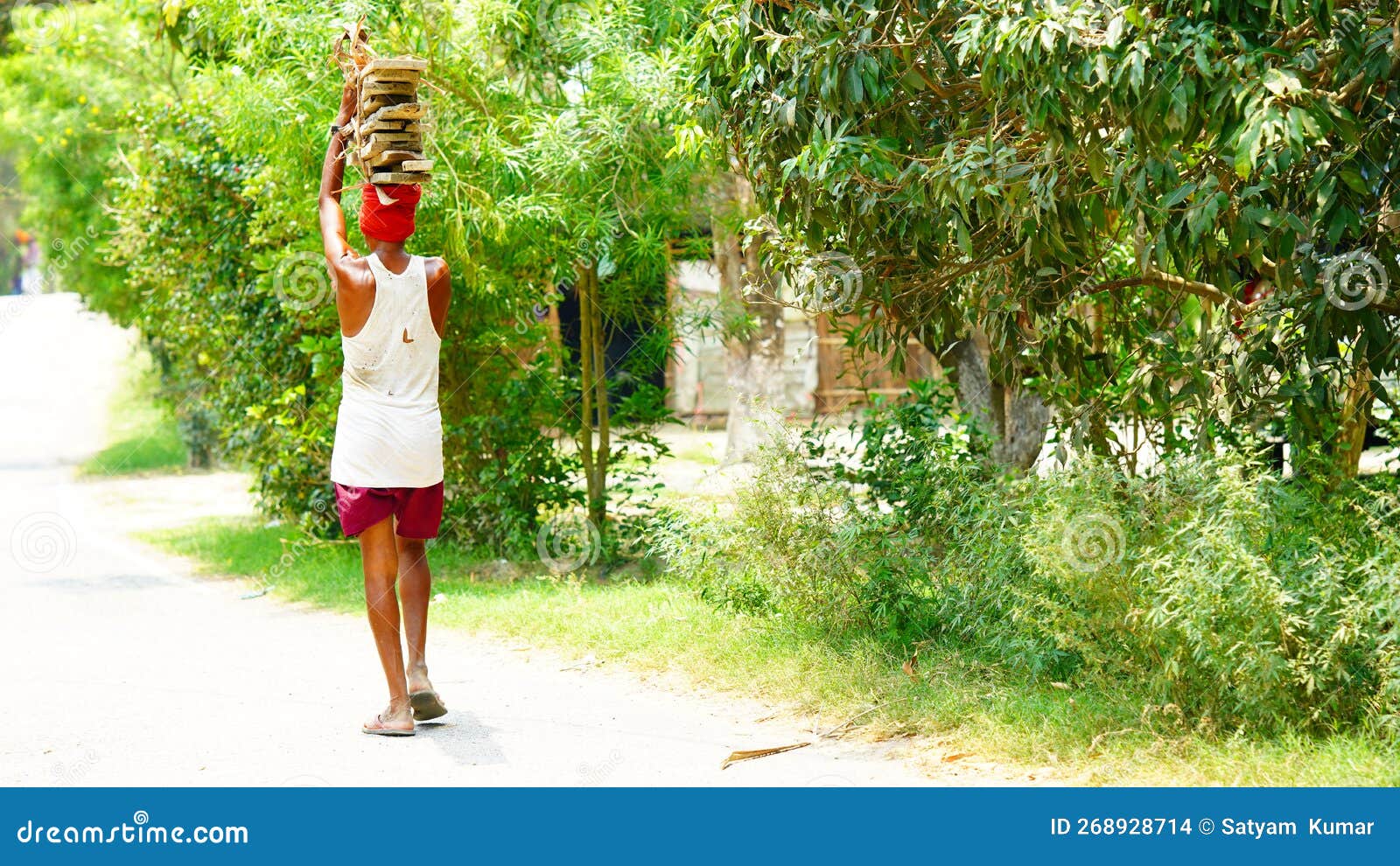 Rural Farmer Doing Work at Farm Editorial Stock Image - Image of ...