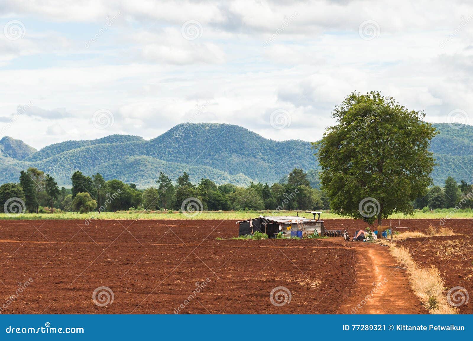 Rural Farmhouse stock image. Image of farmhouse, nature - 77289321
