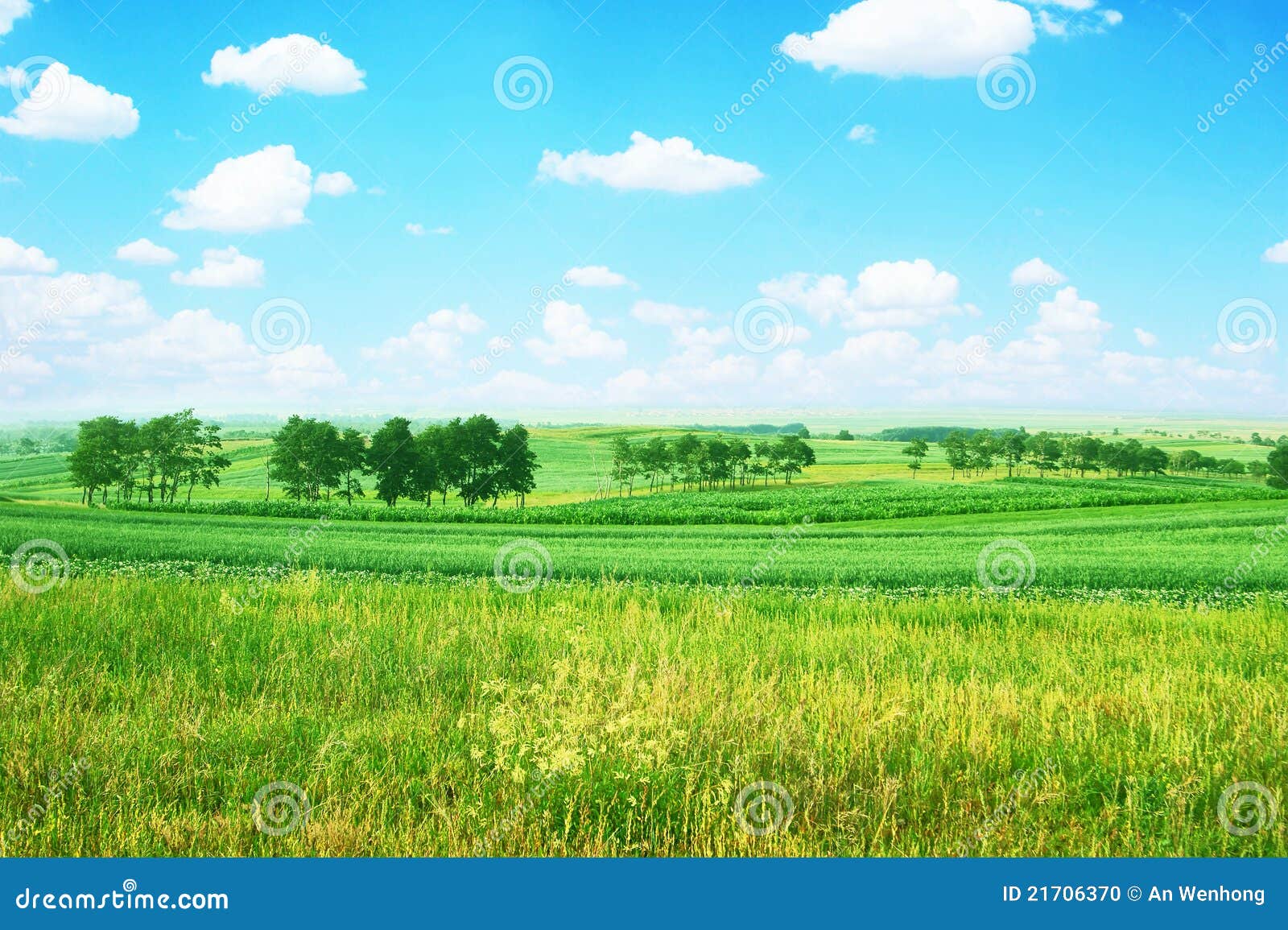 Rural Farmland With Farm Structure Royalty-Free Stock Image ...