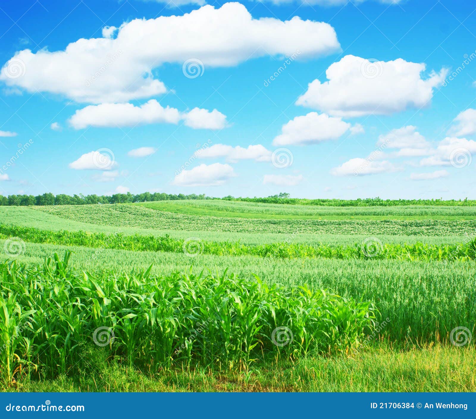 Rural farmland stock photo. Image of solitude, environment - 21706384