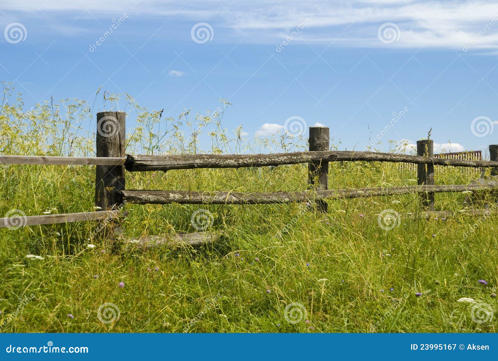 Rural fence stock image. Image of green, enclosure, guard - 23995167