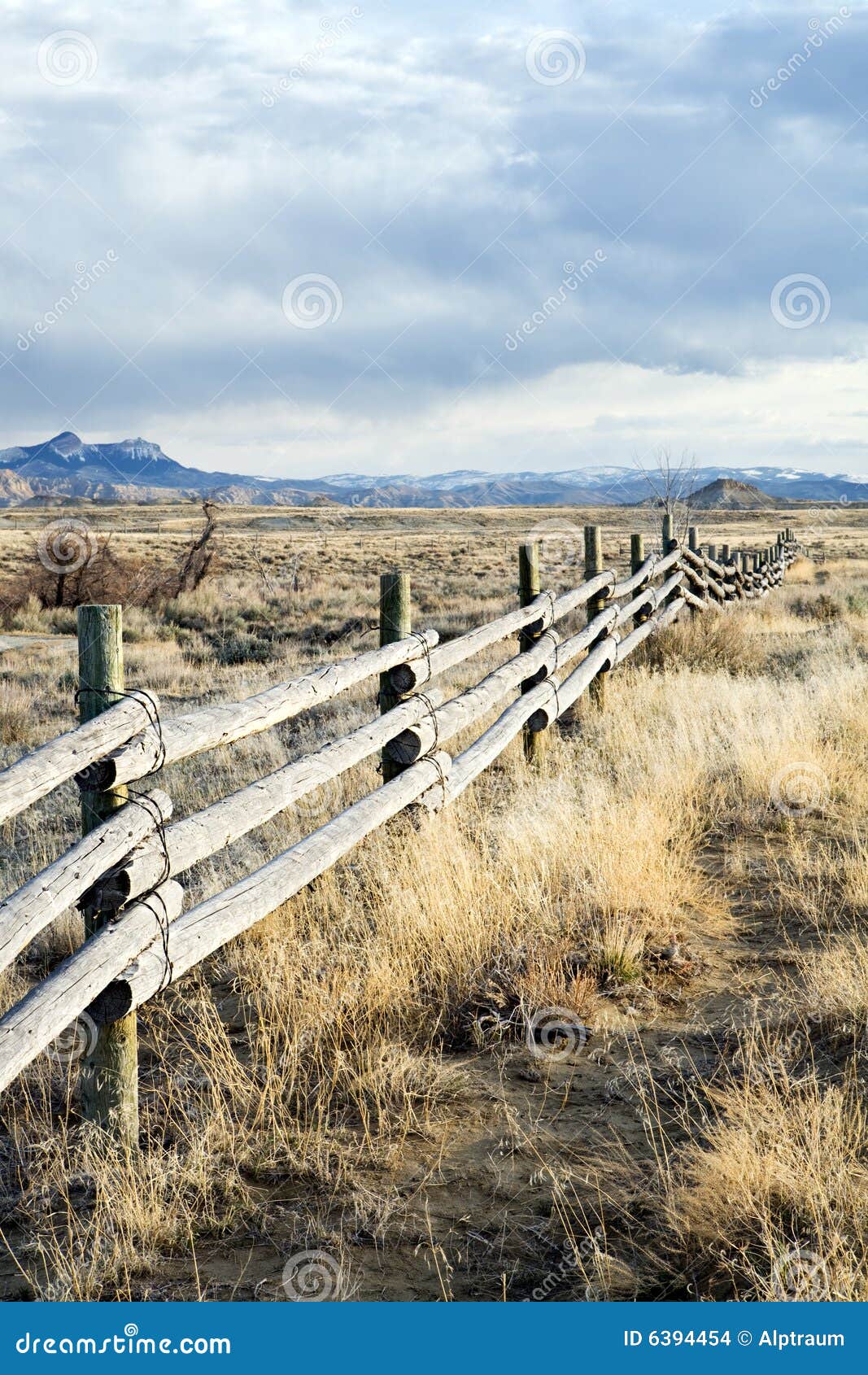 Rural Fence From Wooden Planks With Knots. Wood Texture Royalty-Free ...