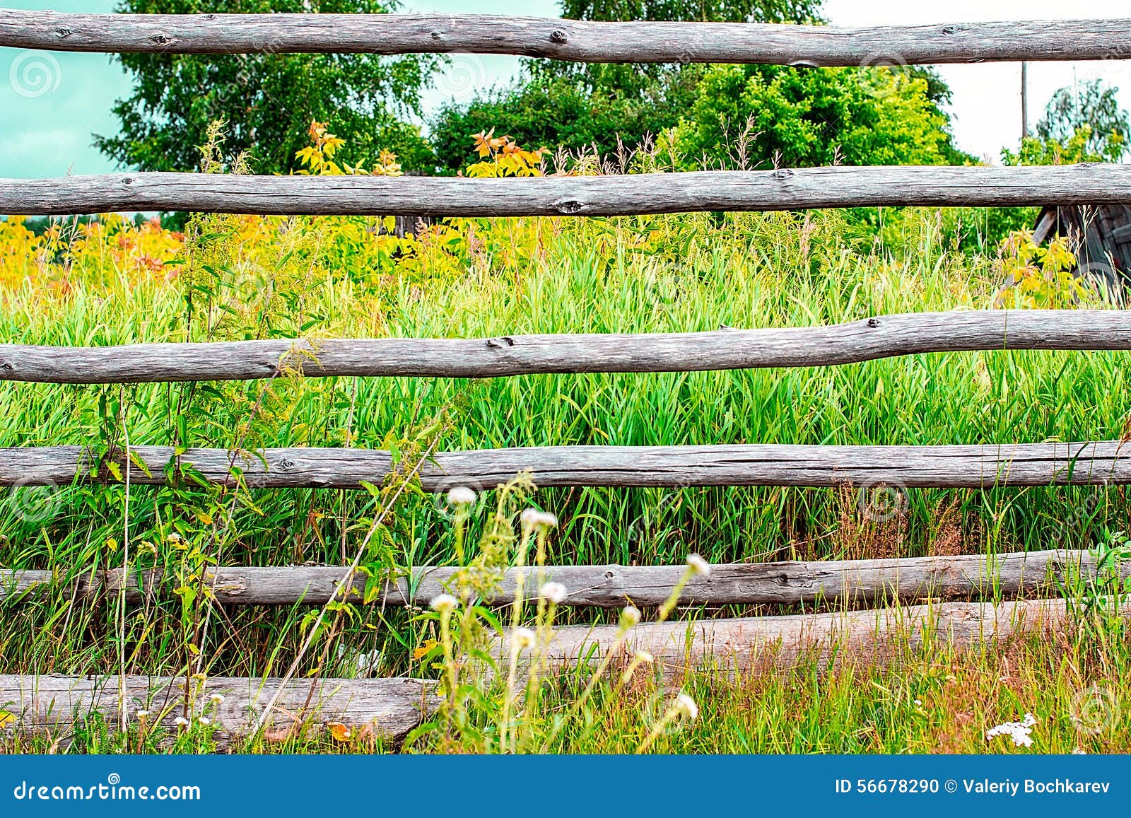 Rural fence stock photo. Image of pattern, wattle, nature - 56678290