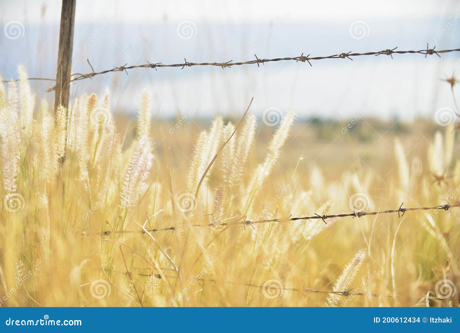 Rural Fencing in Harsh Environment Stock Photo - Image of rural, fever ...