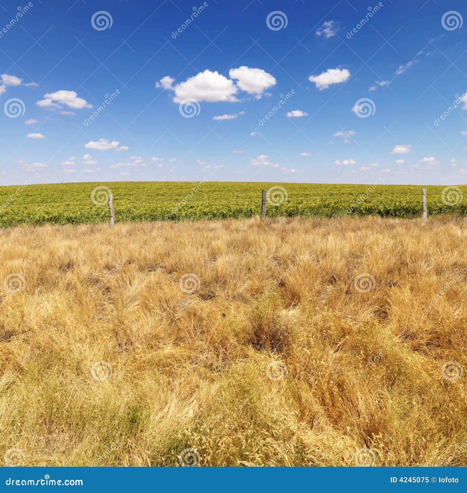 Rural field. stock image. Image of photograph, north, 070730r0141 - 4245075