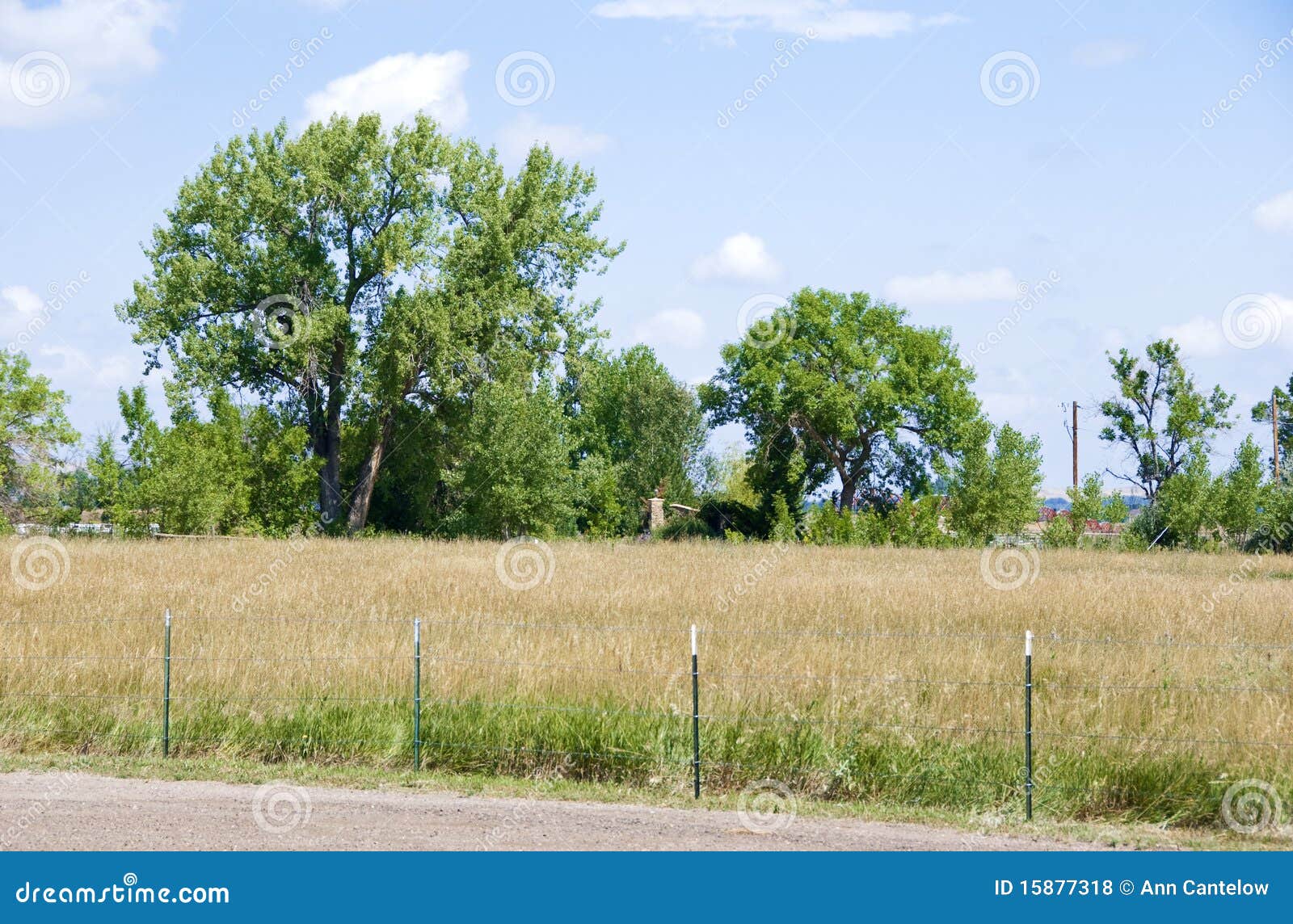 Rural Field, Little Fence and Trees Stock Photo - Image of golden ...