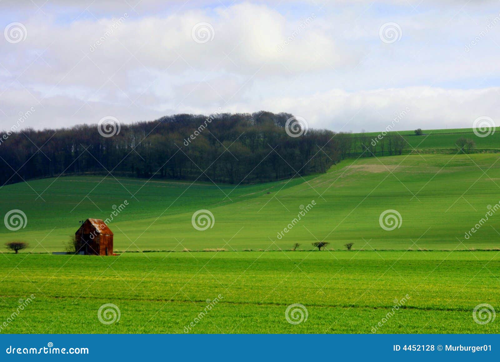 Rural Field Scene in Wiltshre Stock Photo - Image of country, outdoors ...