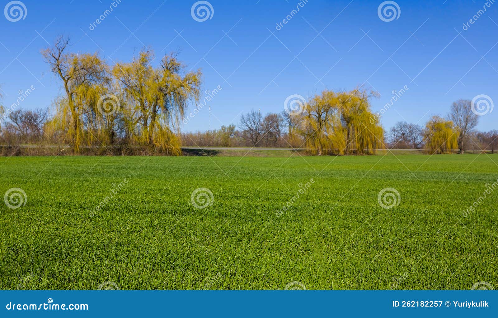 Rural Field Spring Countryside Scene Stock Image - Image of alone ...