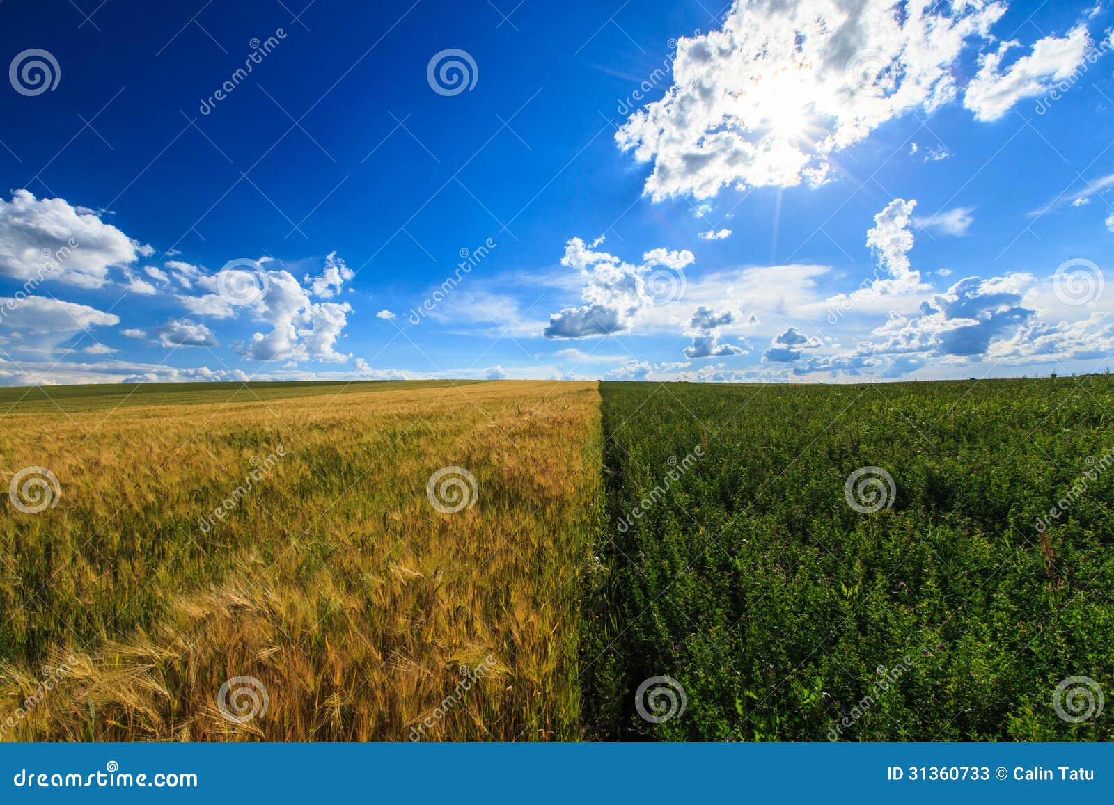 Rural Fields on a Sunny Day Stock Image - Image of fluffy, geometry ...