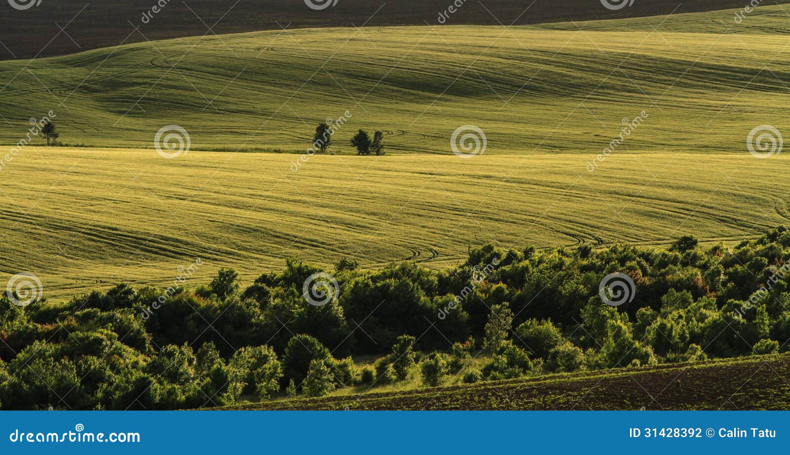 Rural Fields on a Sunny Day Stock Photo - Image of dark, energy: 31428392