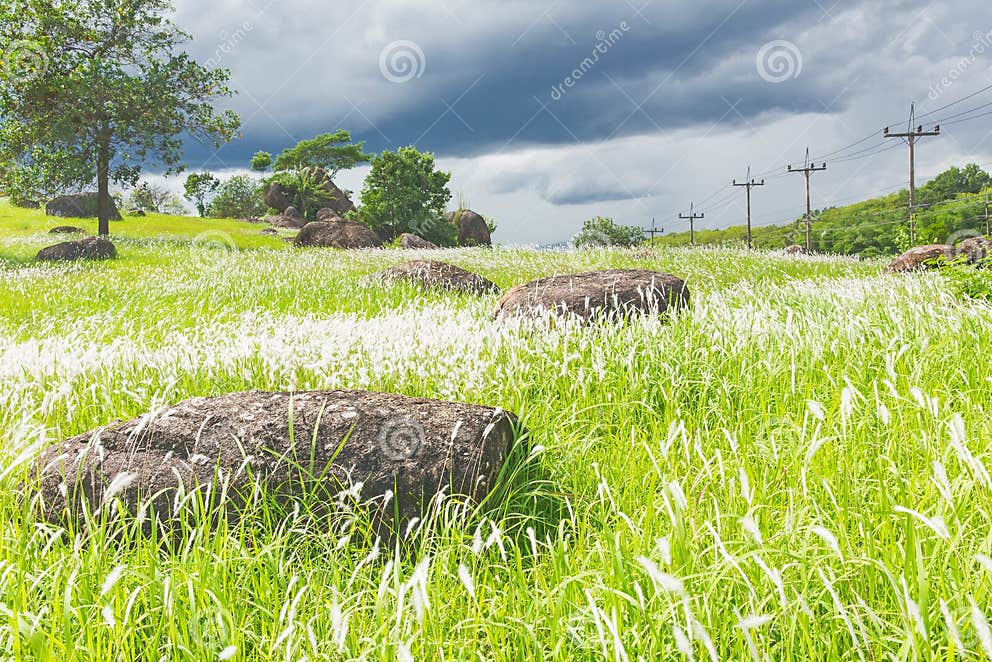 Rural fields stock photo. Image of scene, nature, grass - 32258684