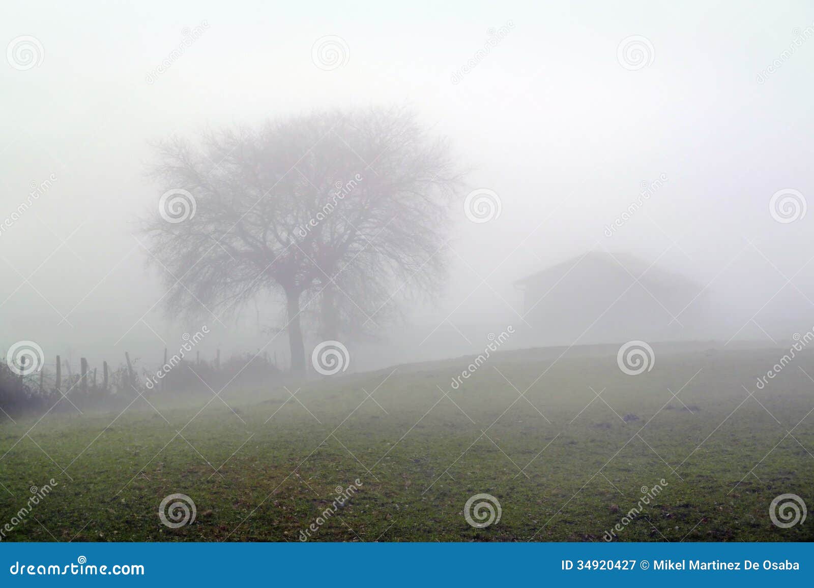 Rural and foggy landscape stock image. Image of mist - 34920427