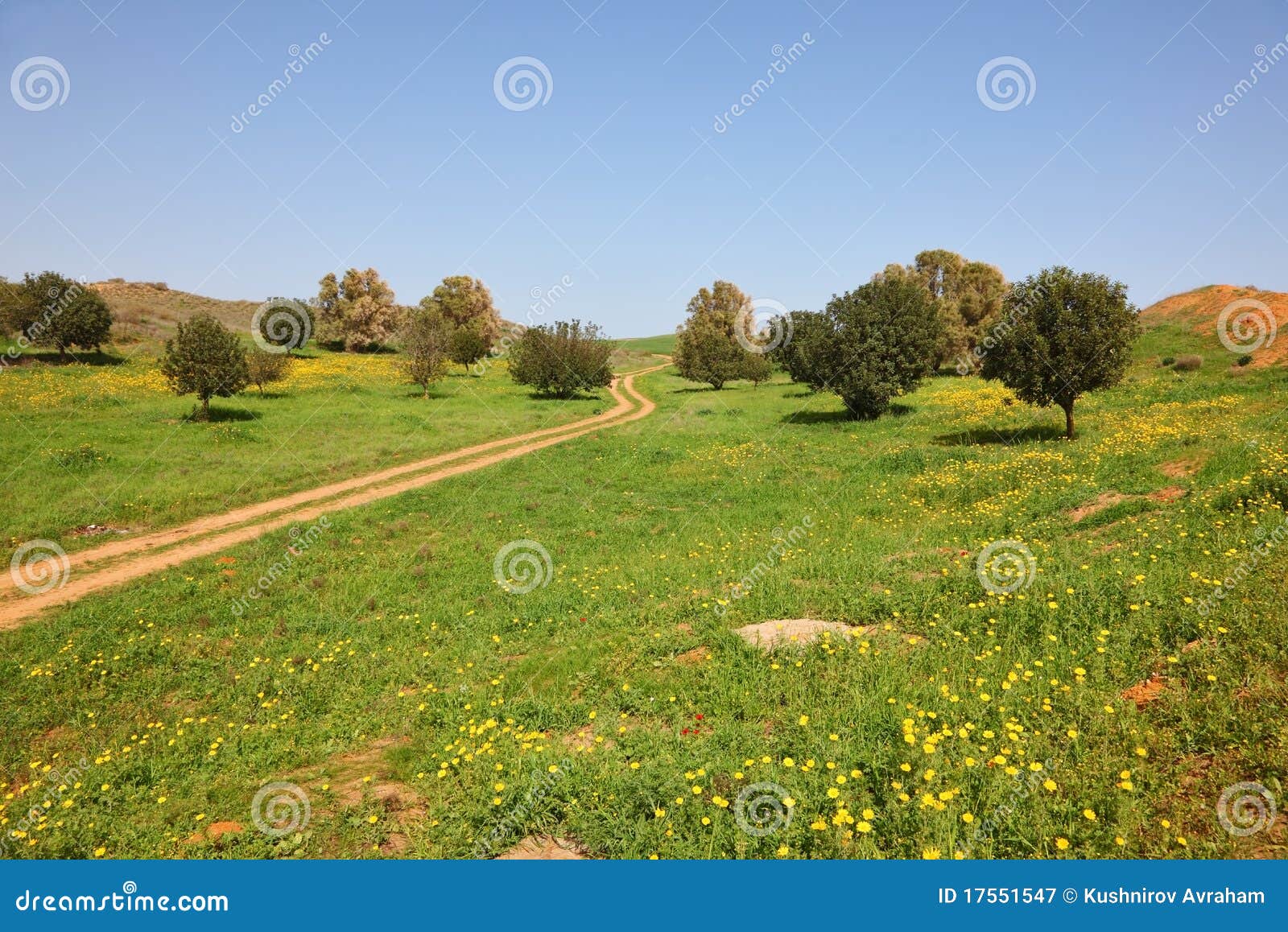 The rural footpath stock image. Image of green, lane - 17551547