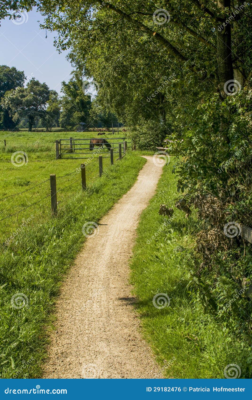 Rural footpath stock photo. Image of trees, trip, walking - 29182476