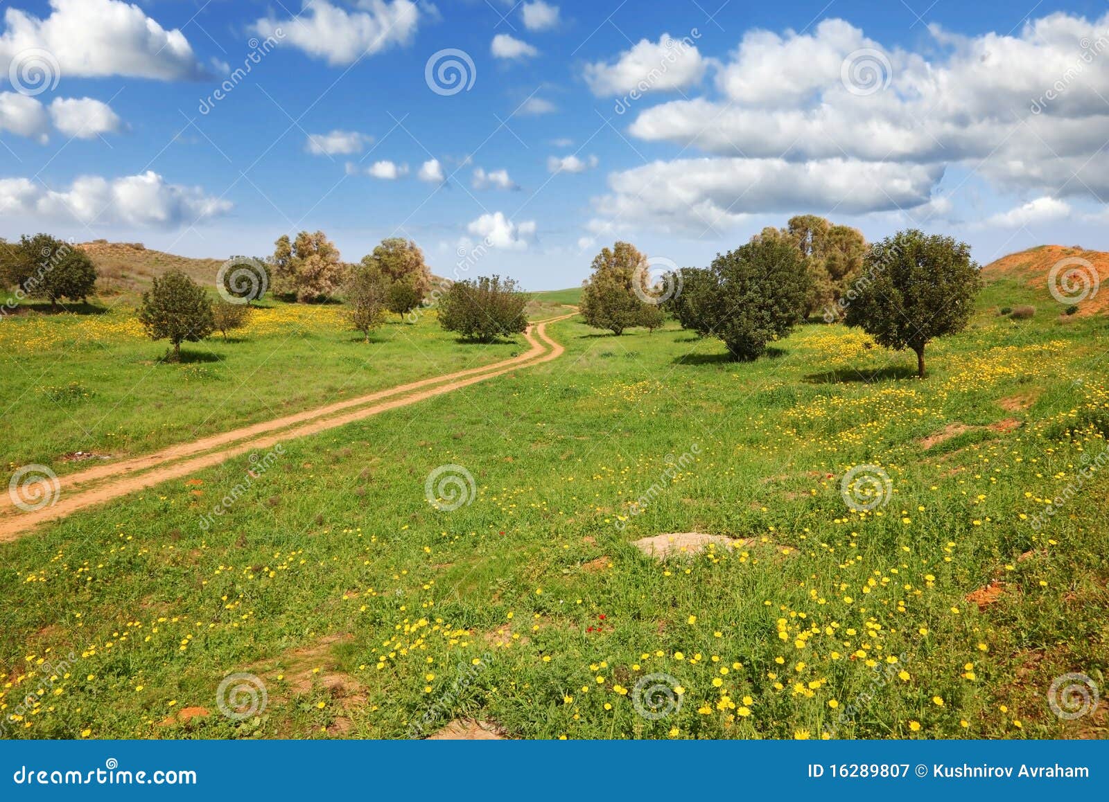 The Rural Footpath Crosses a Meadow Stock Image - Image of beauty, blue ...