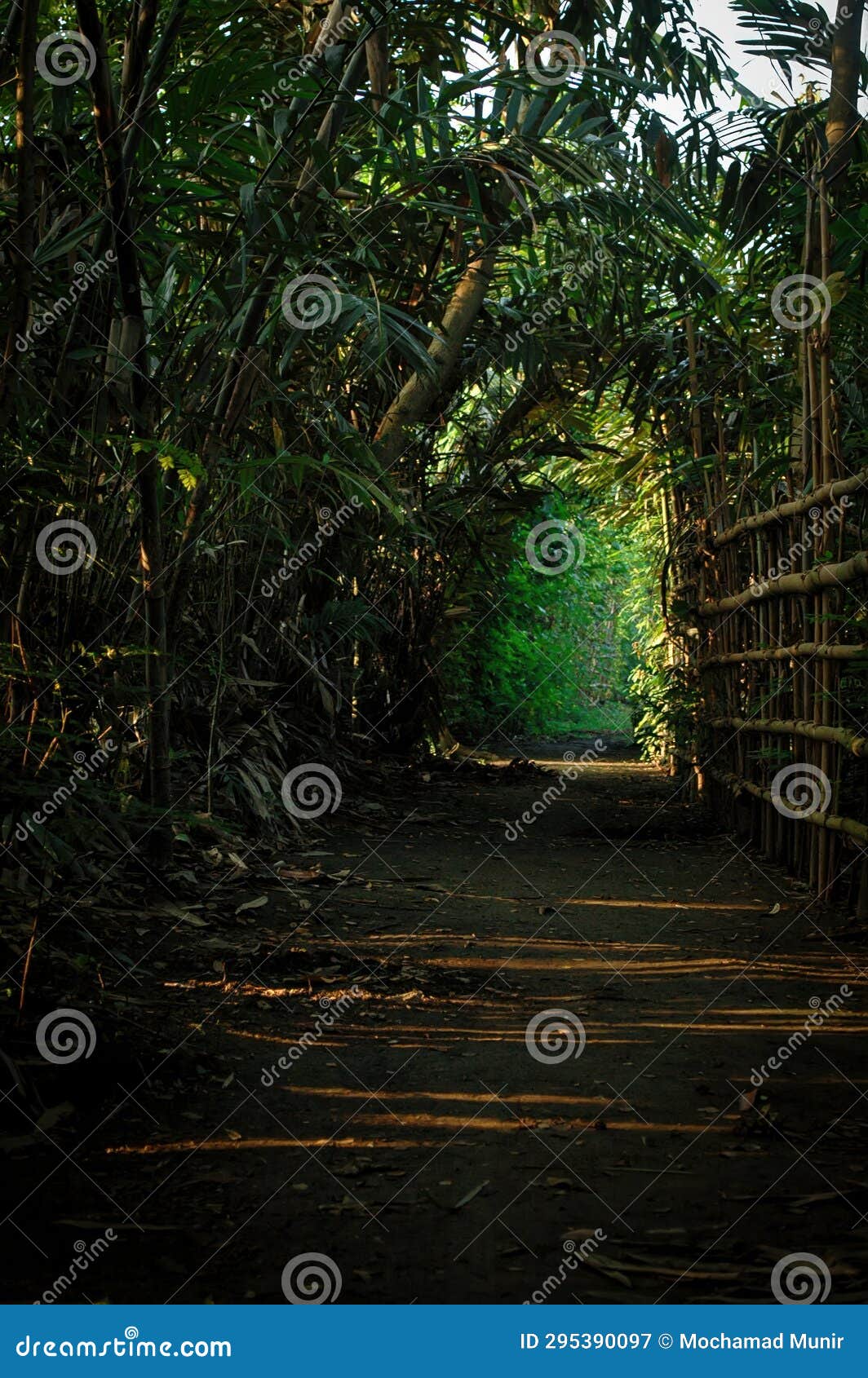 The rural footpath stock image. Image of beauty, morning - 295390097