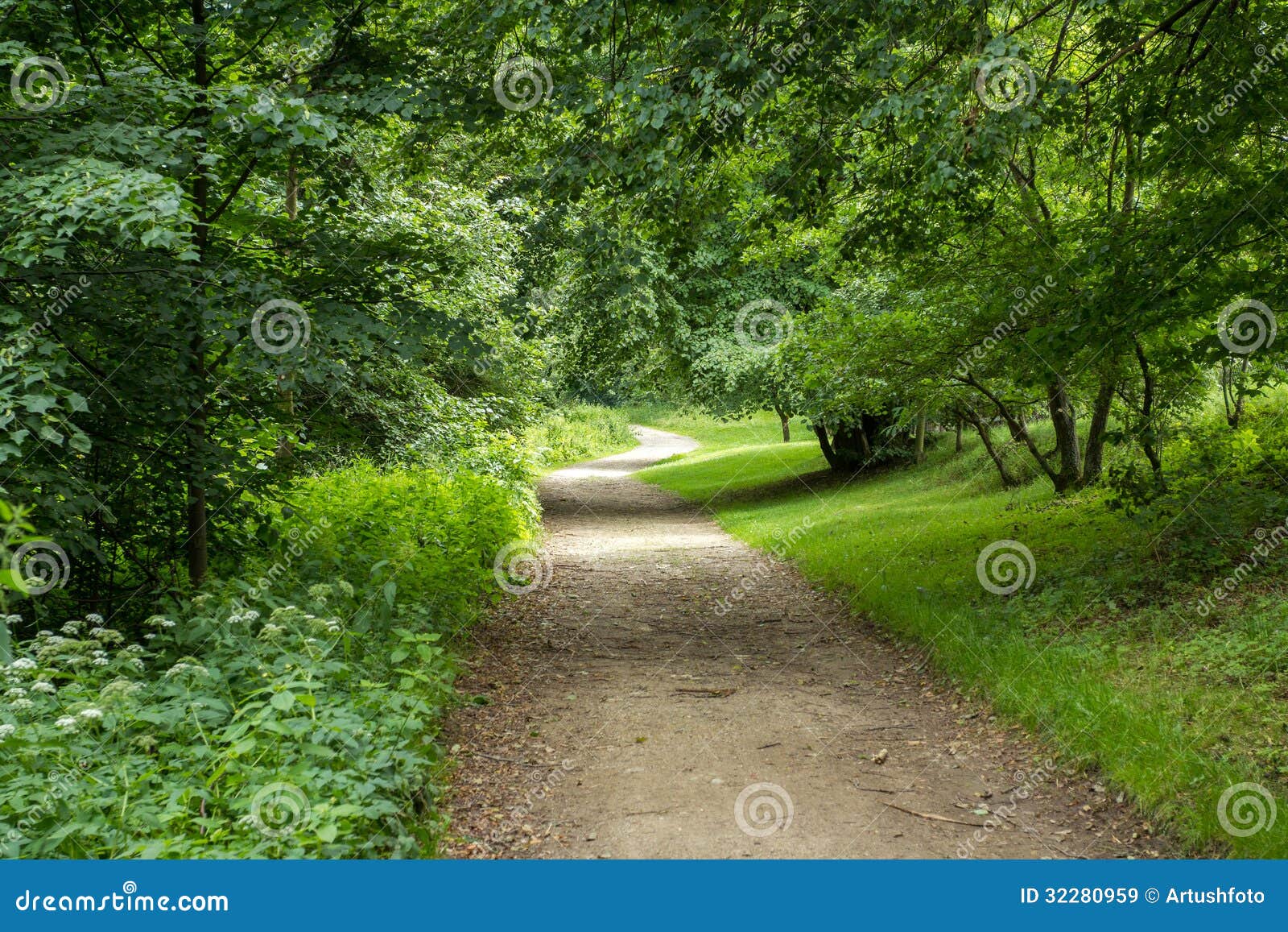 Rural Forest Path in the Park Stock Image - Image of travel, tranquil ...