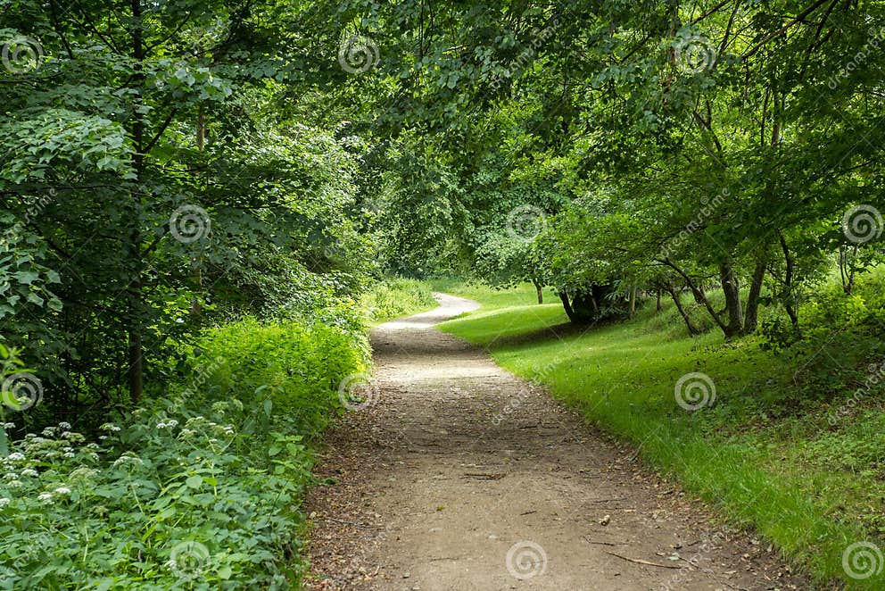 Rural Forest Path in the Park Stock Image - Image of travel, tranquil ...