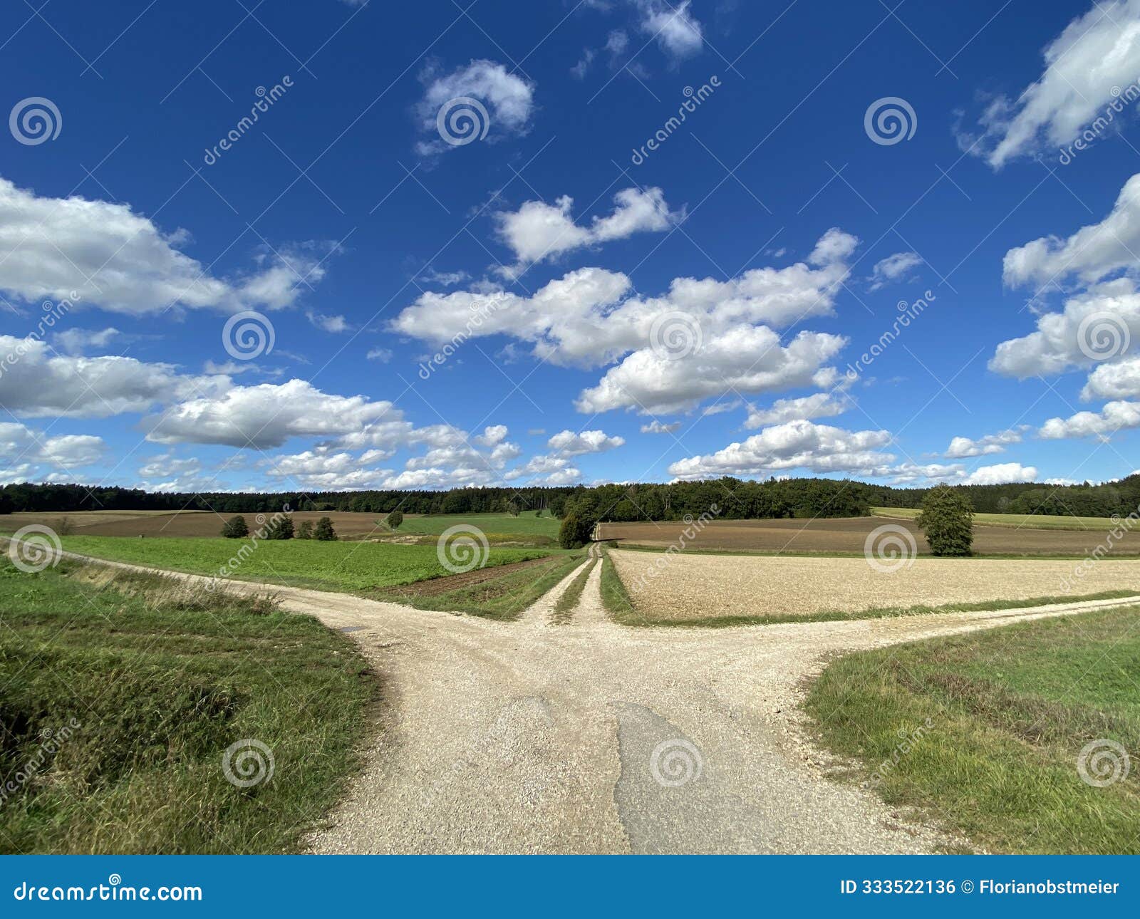 Forked Roads In Green Forest Royalty-Free Stock Photography ...