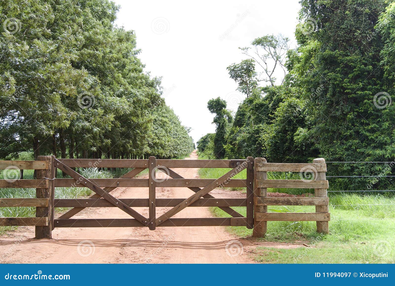 Rural Gate stock image. Image of plant, beautiful, farming - 11994097