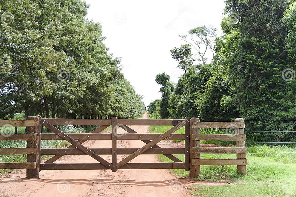 Rural Gate stock image. Image of plant, beautiful, farming - 11994097