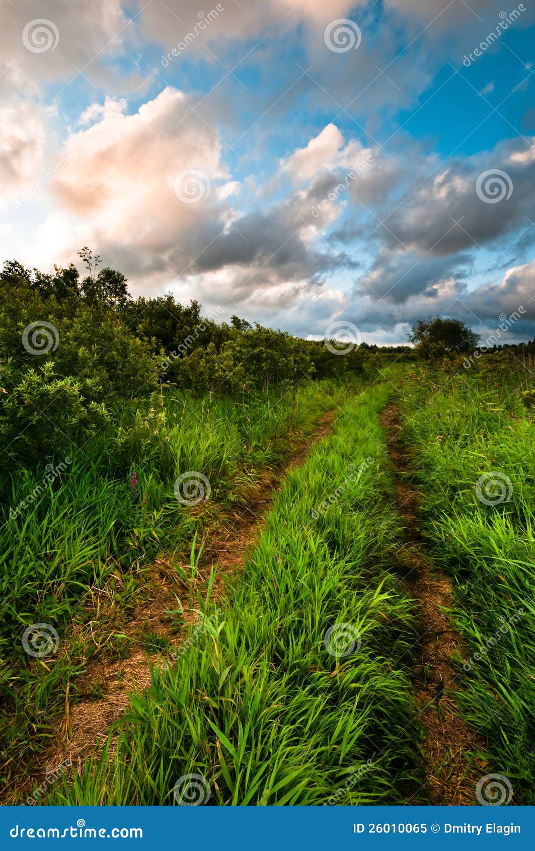 Rural Grass Way Tracks at Sunrise Stock Image - Image of dramatic ...