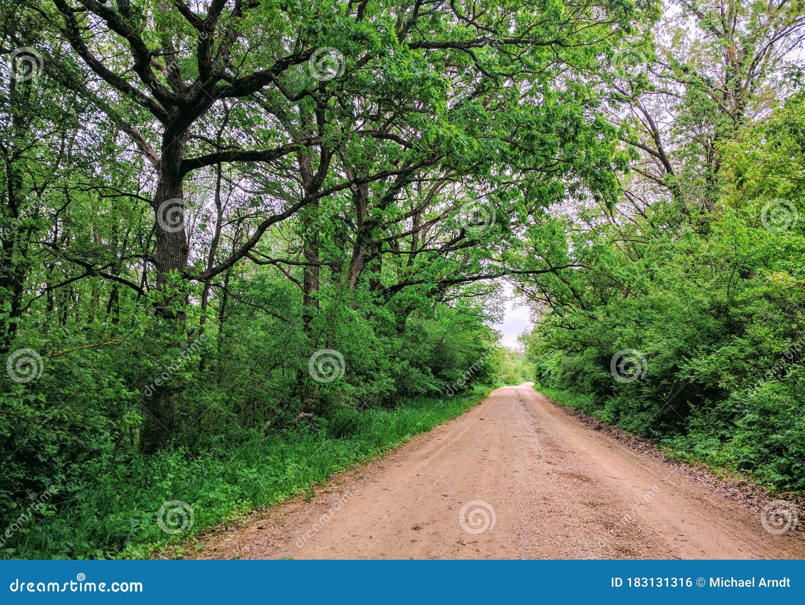 Rural Gravel Road in Spring Stock Photo - Image of trail, rural: 183131316
