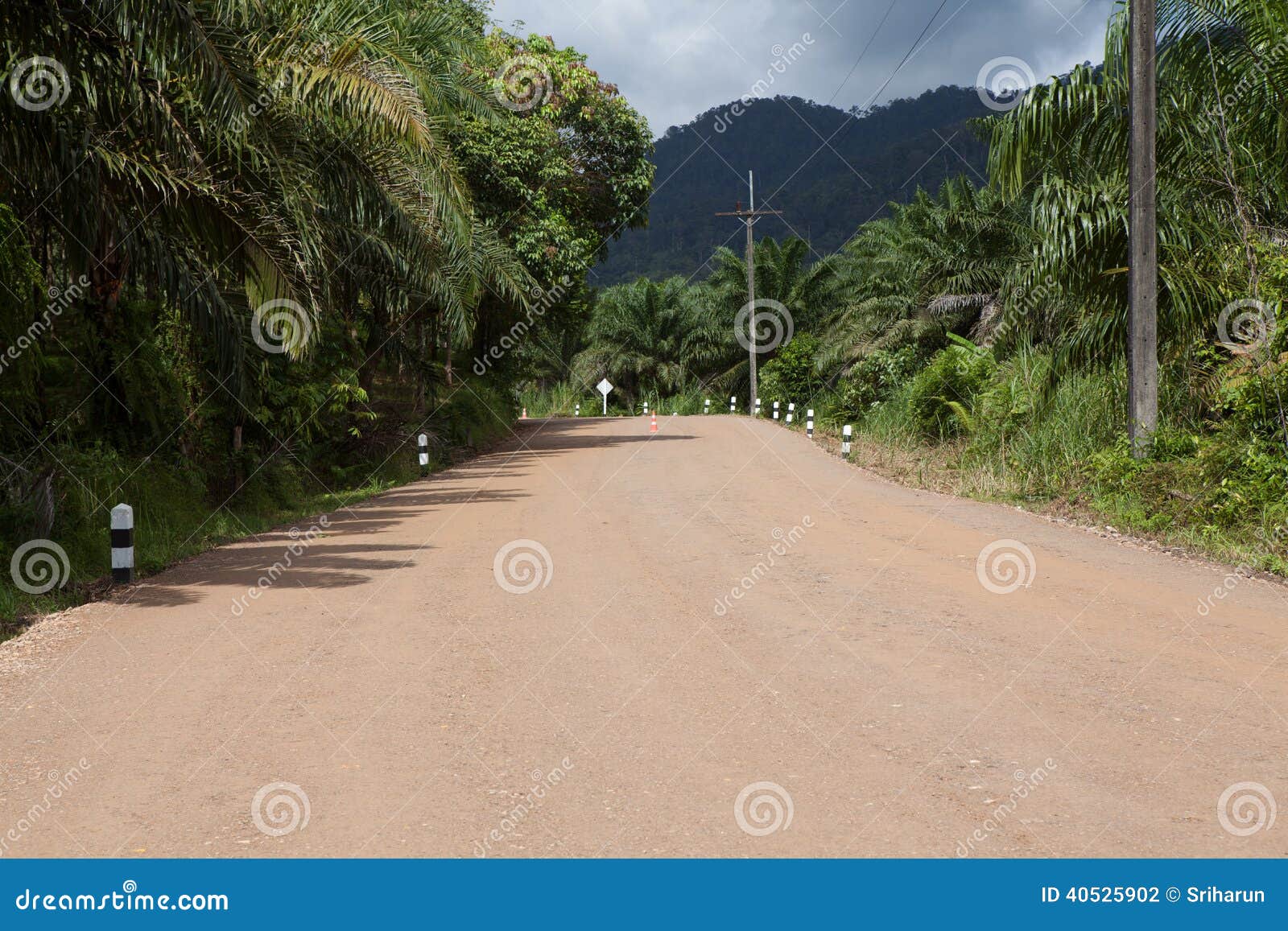 Rural gravel road stock photo. Image of road, country - 40525902