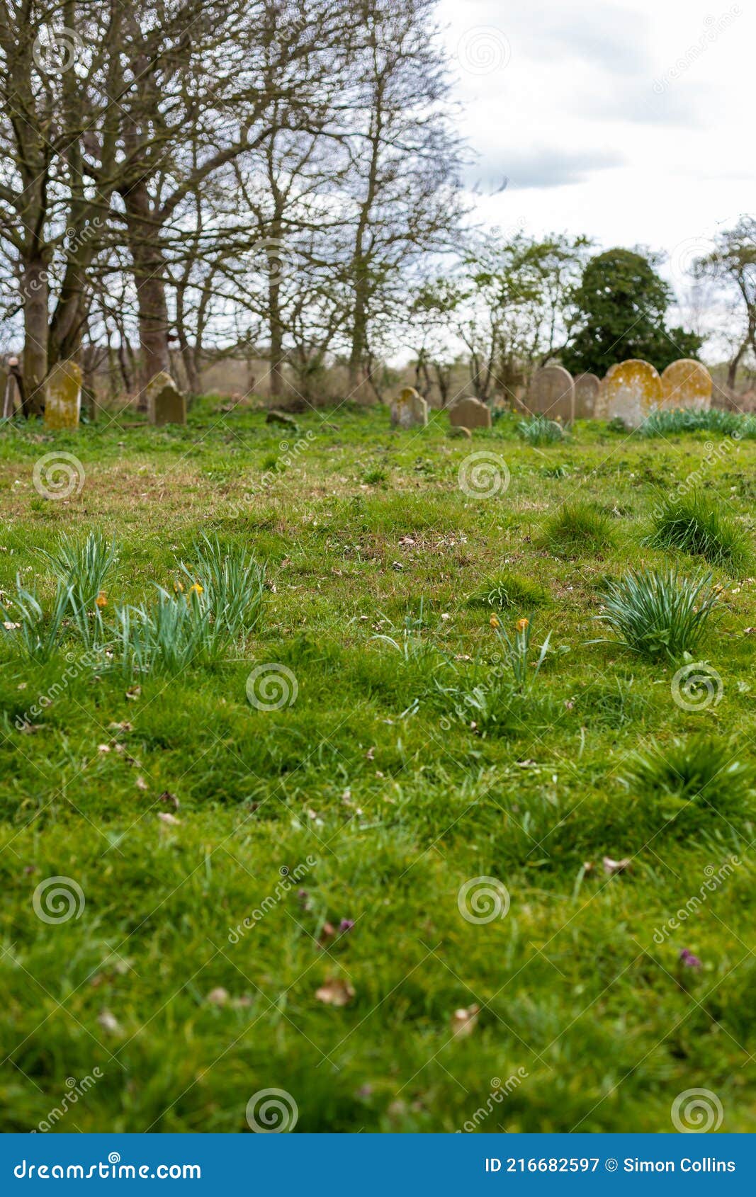 A Rural Graveyard with a Mixture of Different Shaped Grave Stones with ...