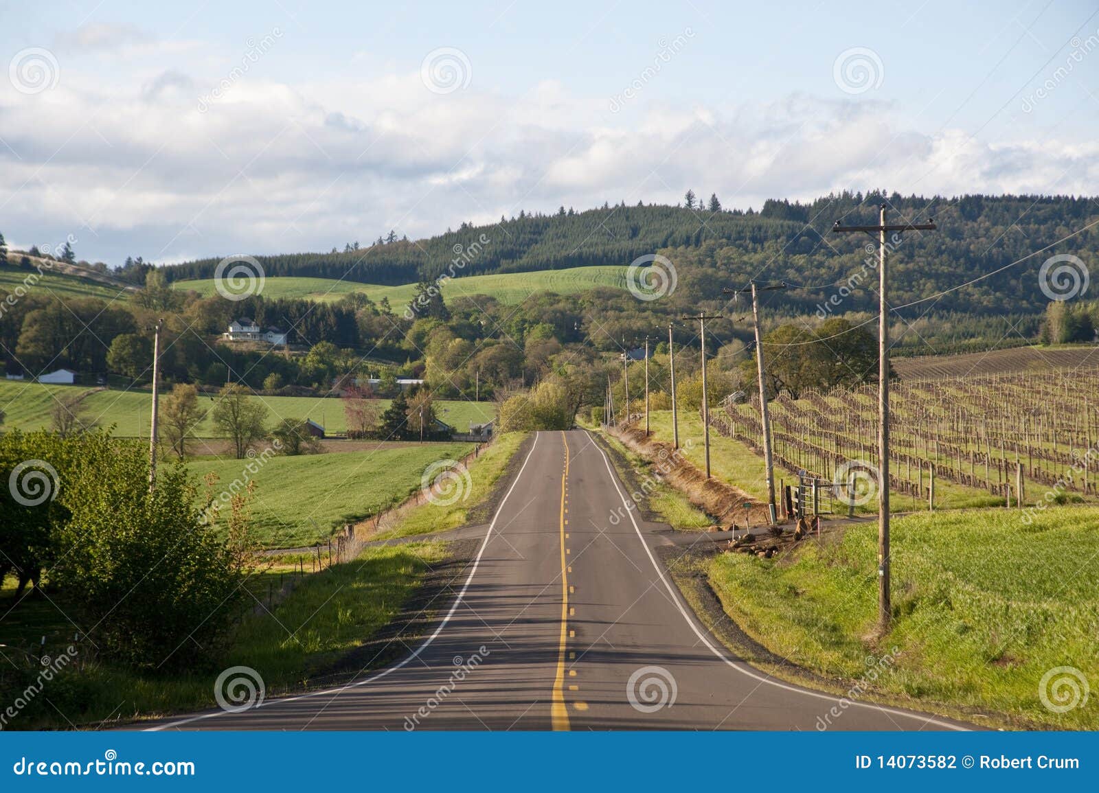 Rural highway stock photo. Image of fields, landscape - 14073582