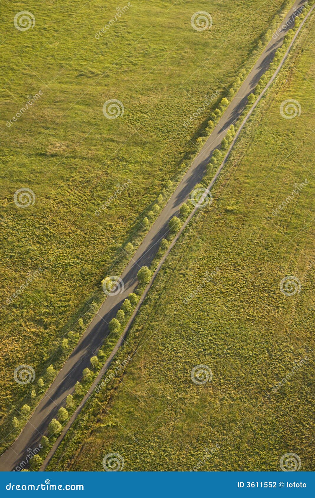 Rural highway. stock photo. Image of vertical, thoroughfare - 3611552