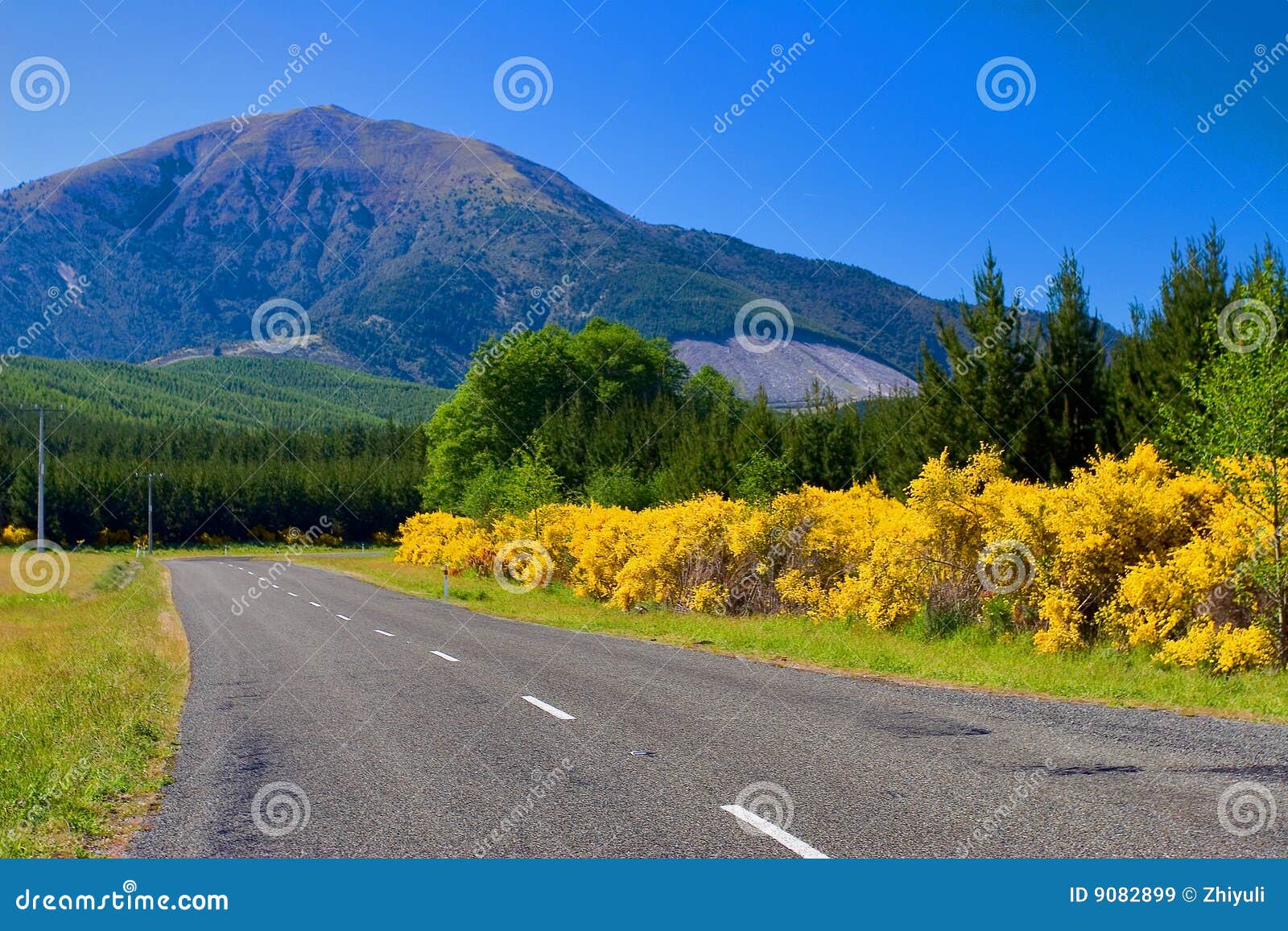 Rural Highway New Zealand stock image. Image of trip, flower - 9082899