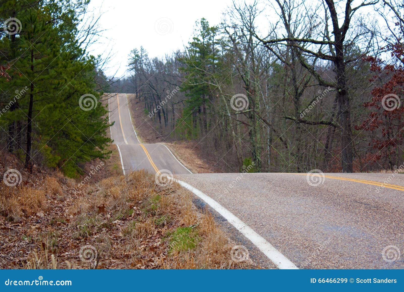 Rural Highway stock image. Image of cloudy, country, trees - 66466299