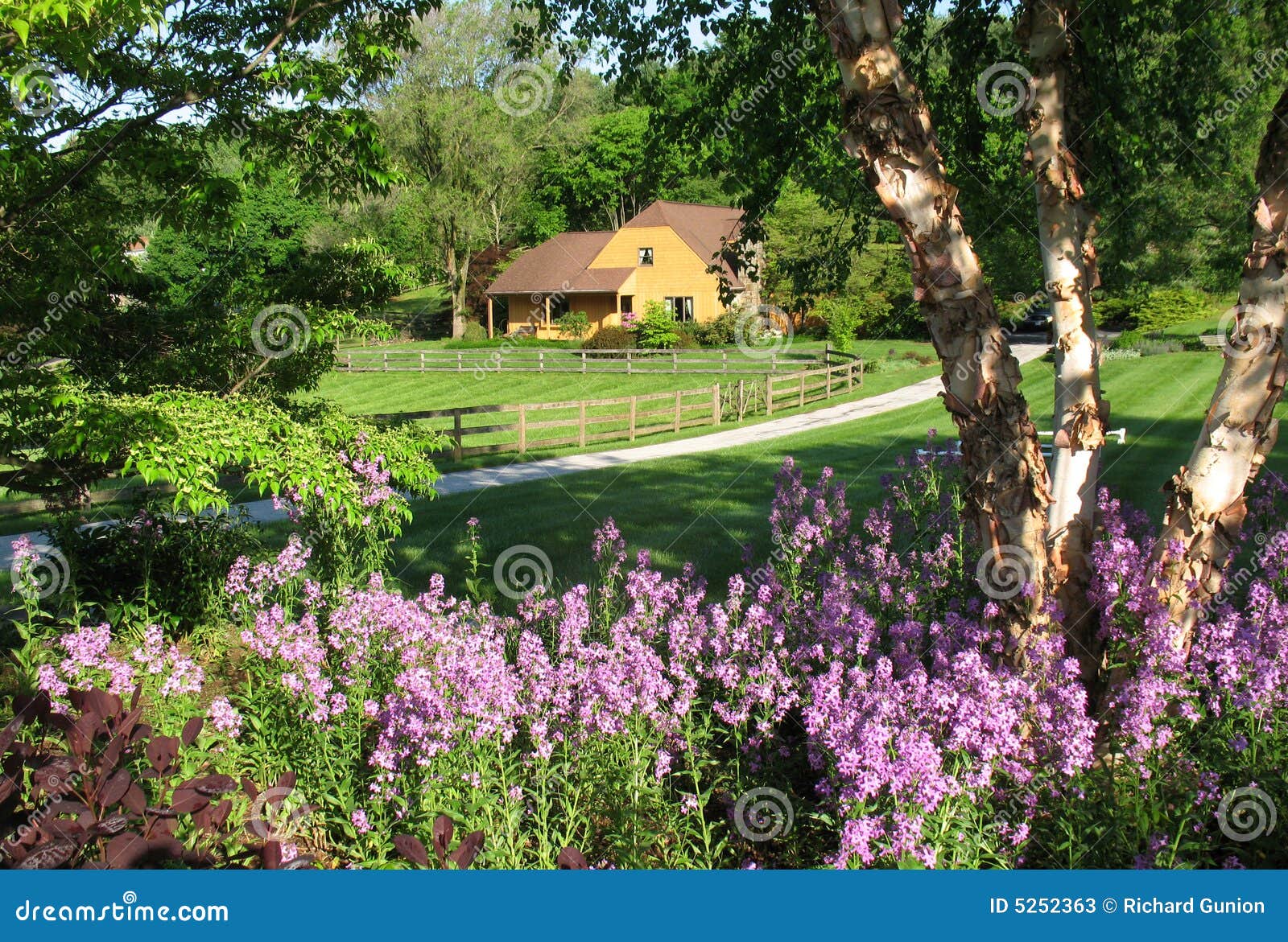 Rural Home and Flowers stock image. Image of country, drive - 5252363